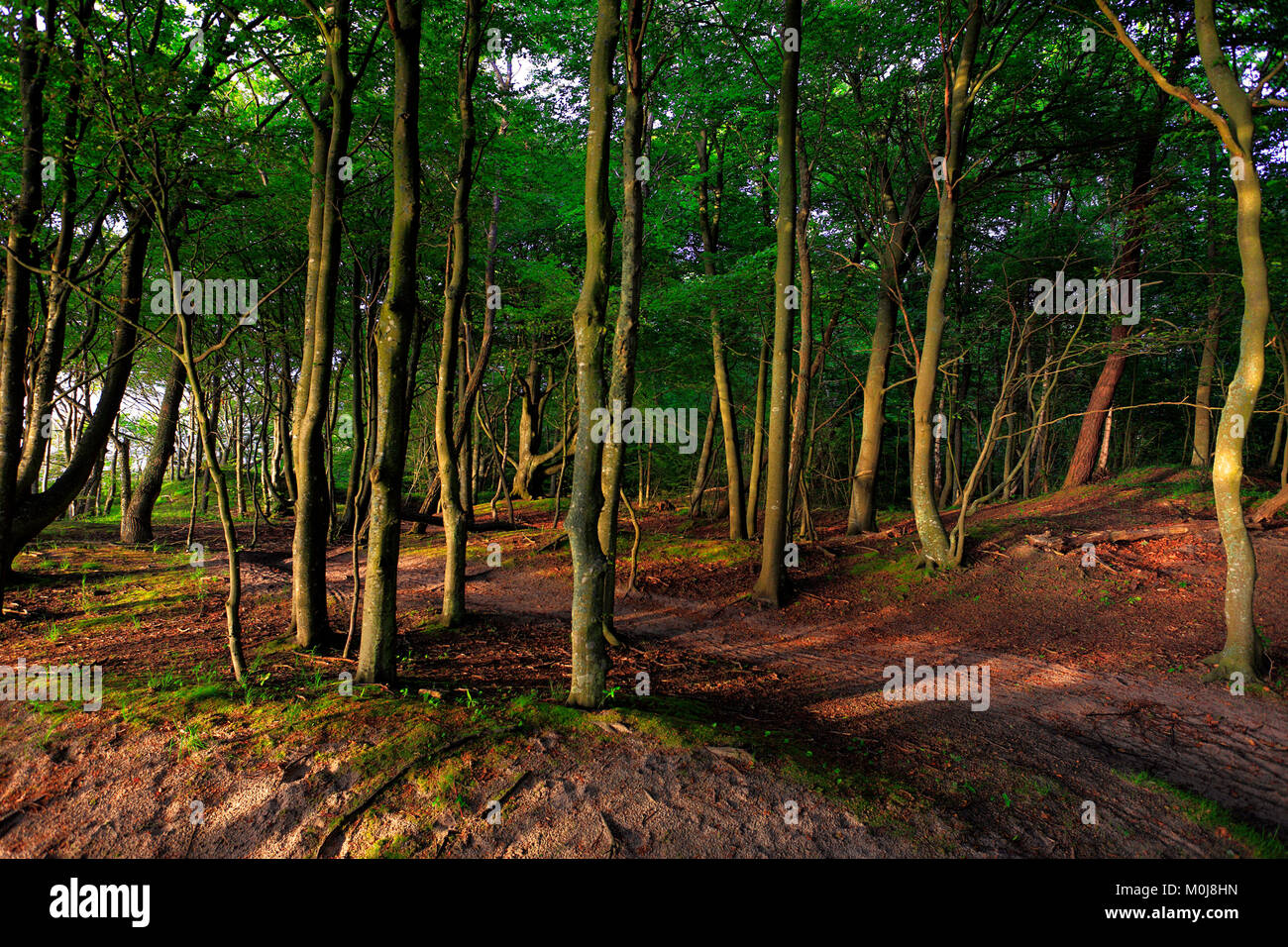 Polska Wybrzeze Morze Baltyckie Rowy Plaza Poland Baltic See Shore ...