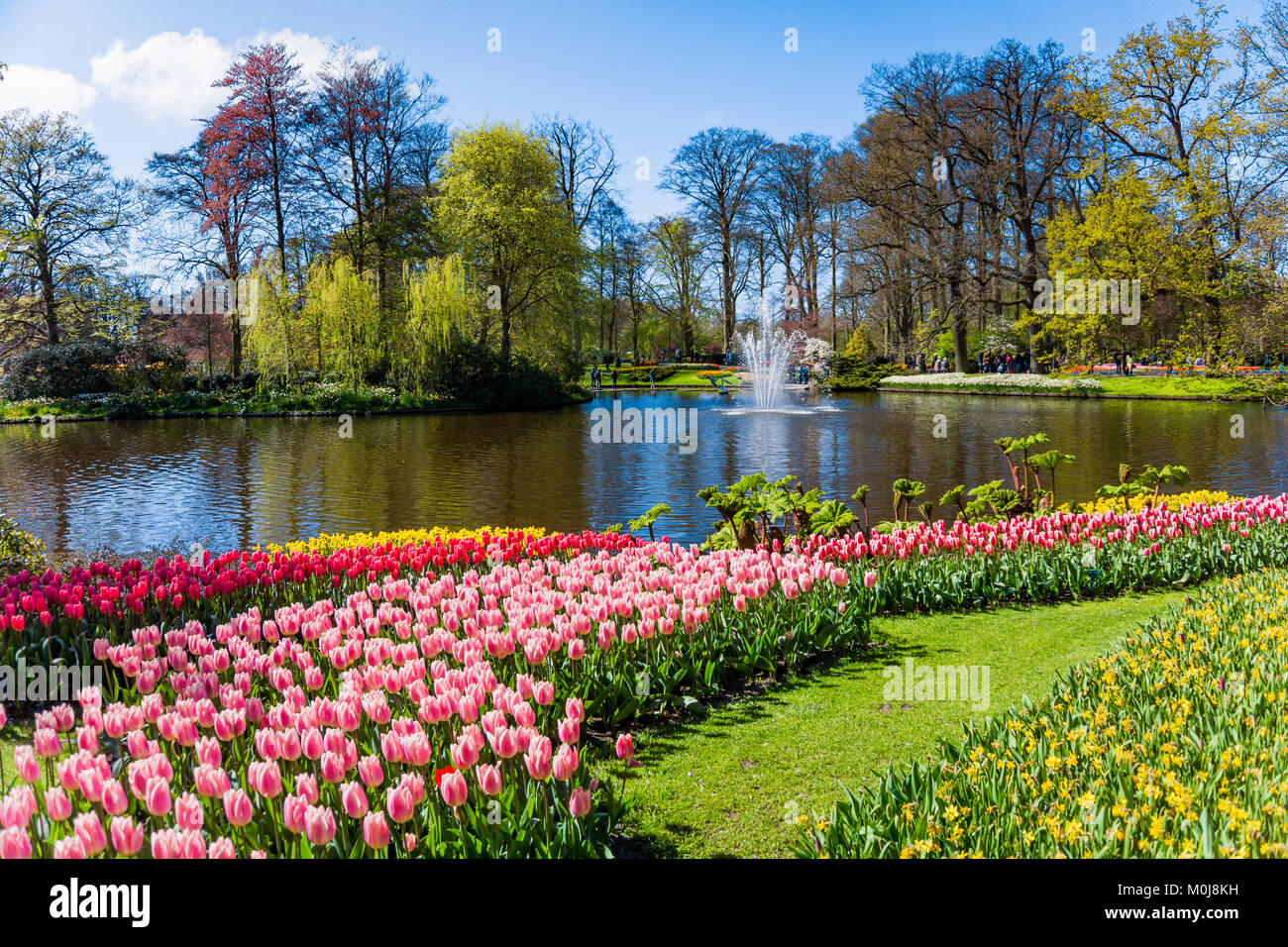 Spring Formal Garden. Beautiful garden of colorful flowers Stock Photo ...