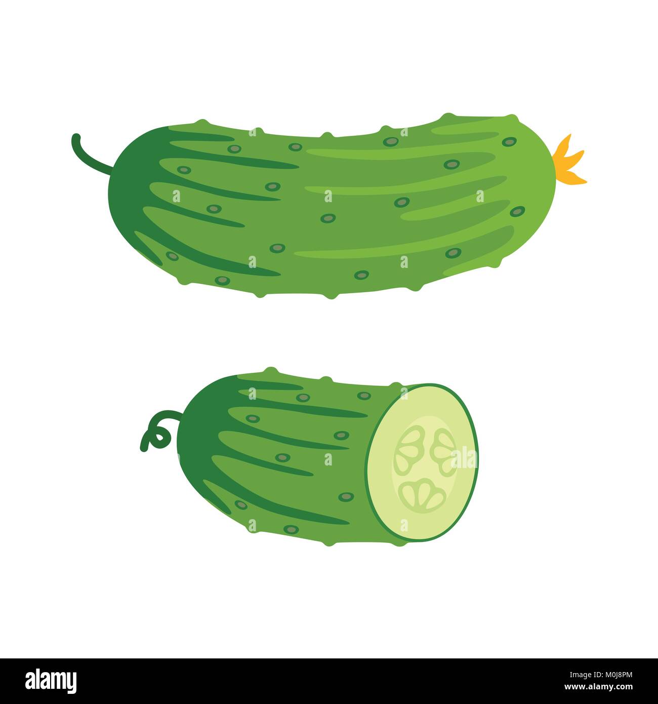 Cucumber and half of cucumber. Vector illustration Stock Vector Image ...