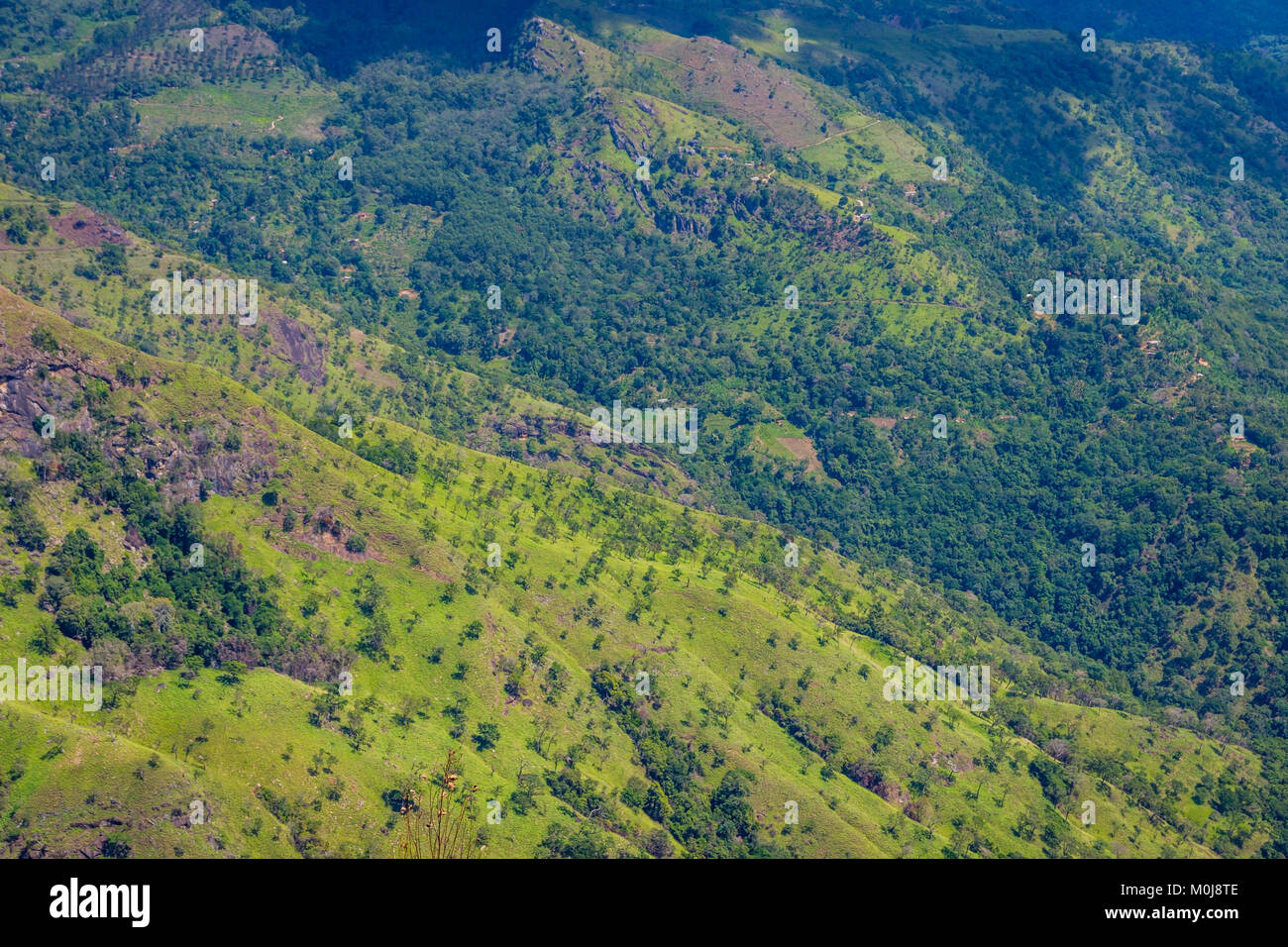 Beautiful scenery of mountains in central Sri Lanka around Ella Stock ...