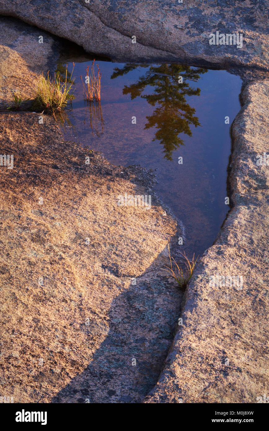 Tidal pool reflection along the coast of Acadia National Park in Maine ...