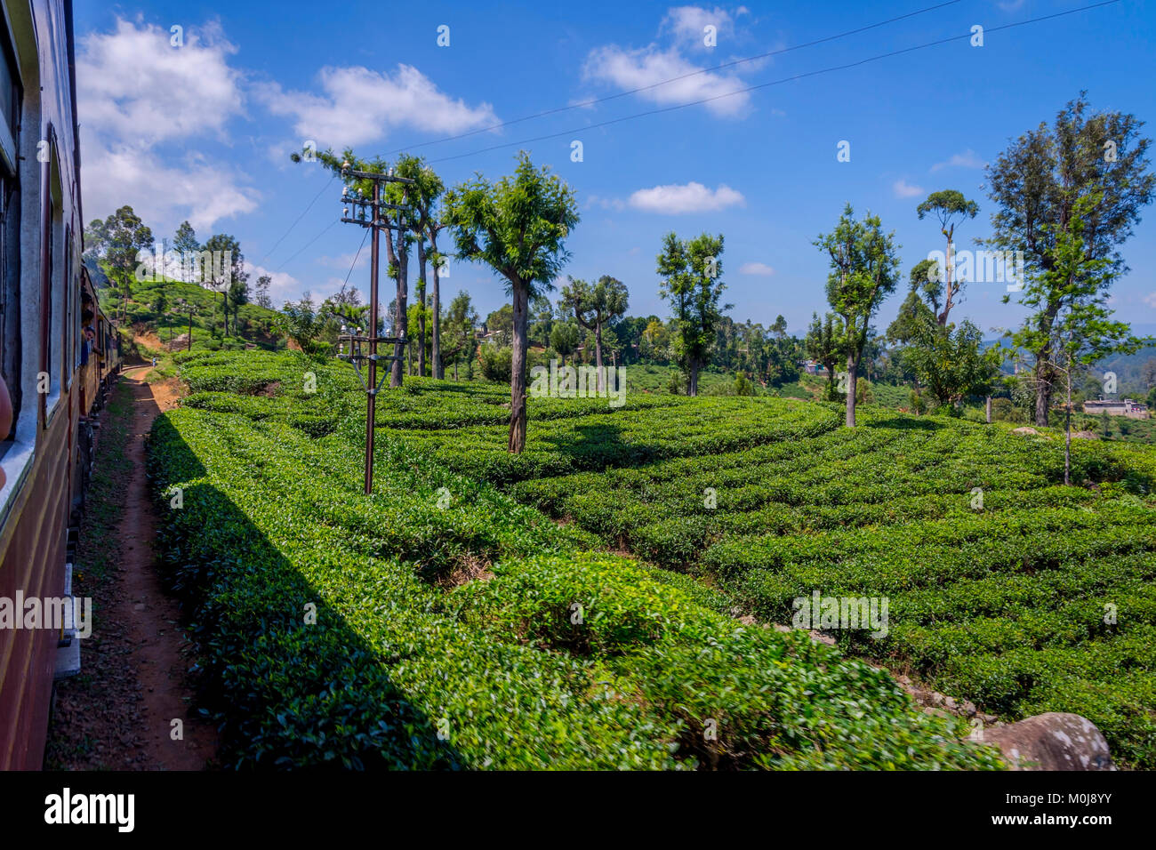 Train ride srilanka hi-res stock photography and images - Alamy