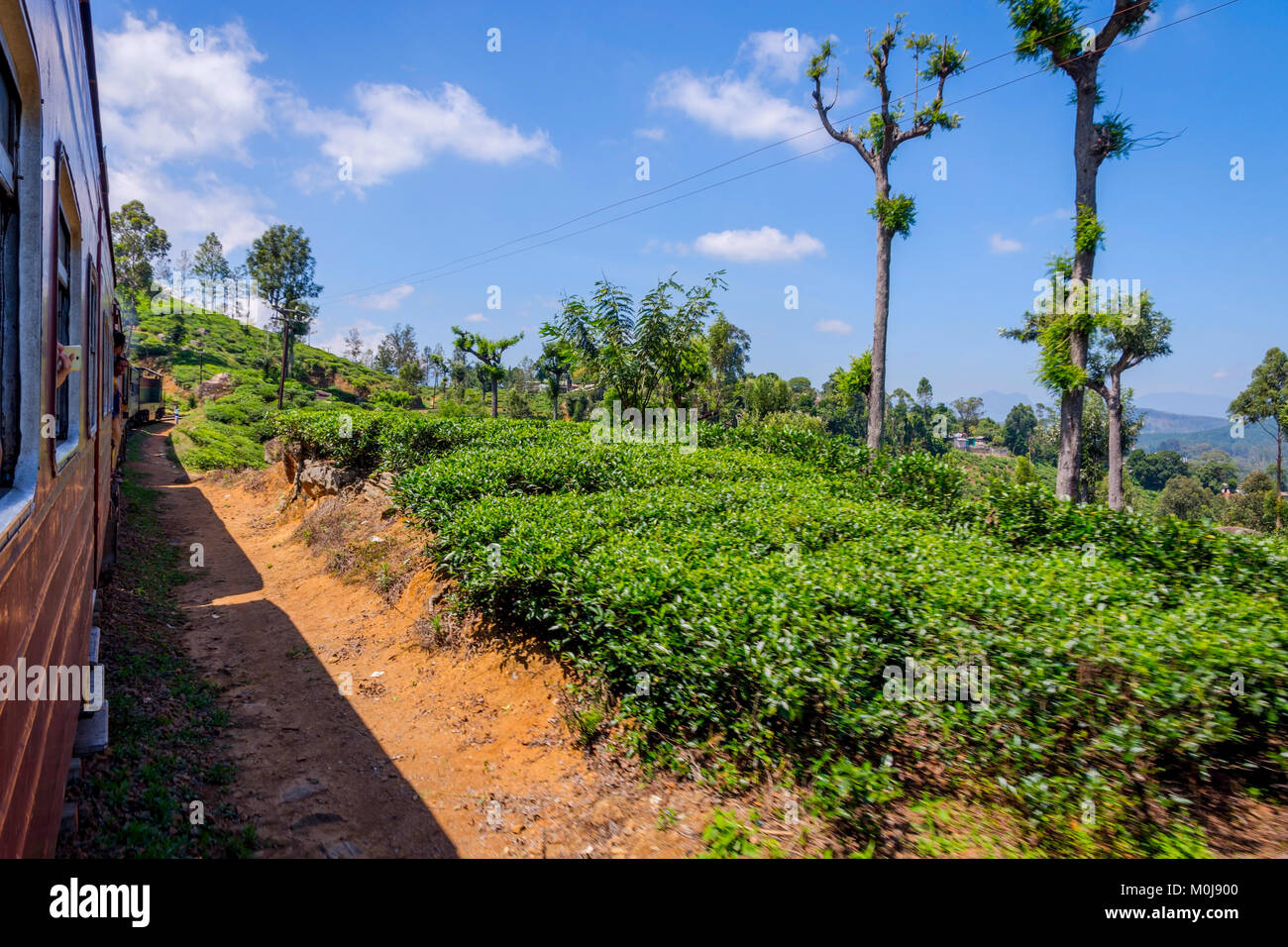 Train ride srilanka hi-res stock photography and images - Alamy