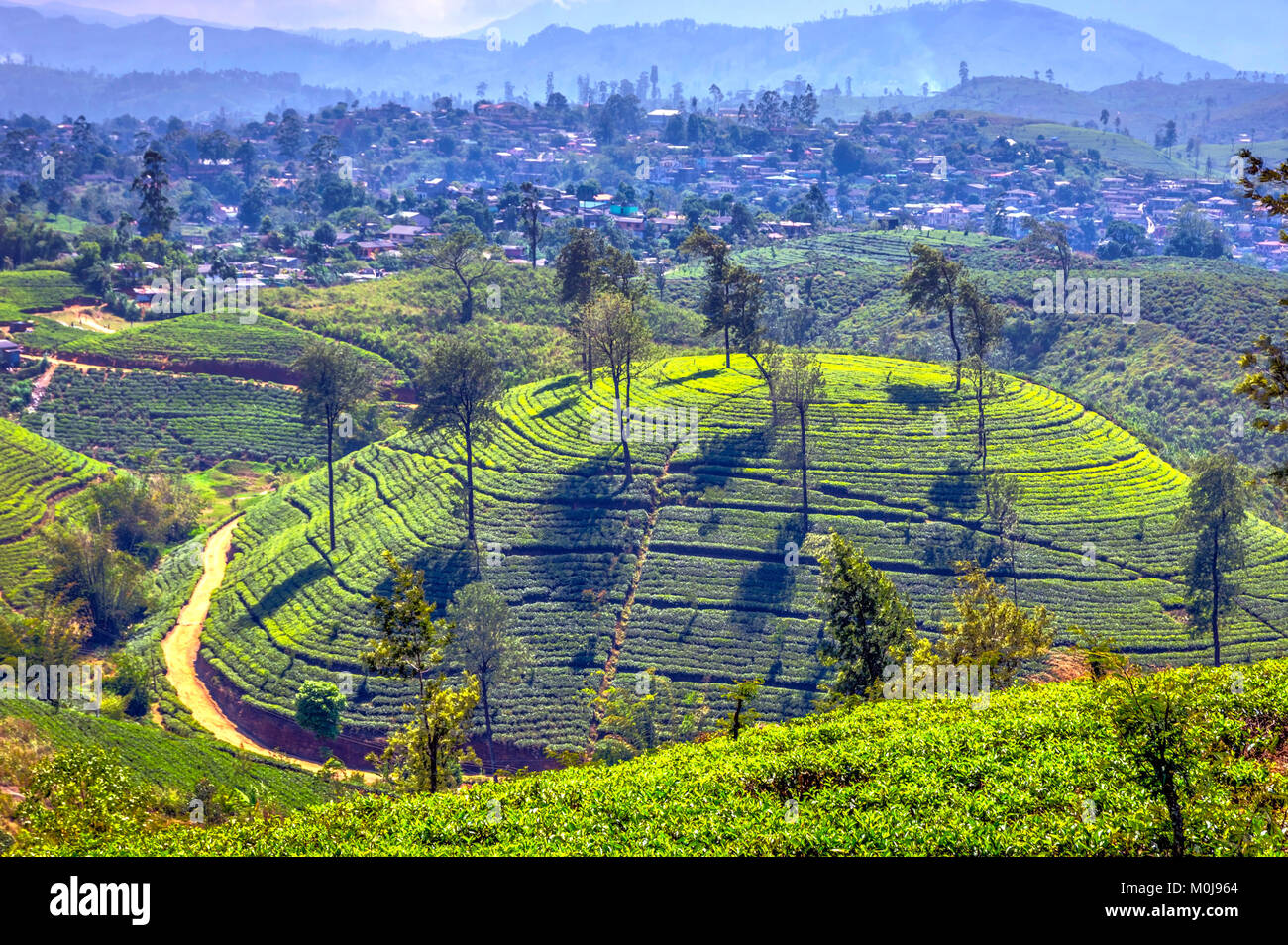 Beautiful landscape of tea plantations in central sri lanka hi-res ...