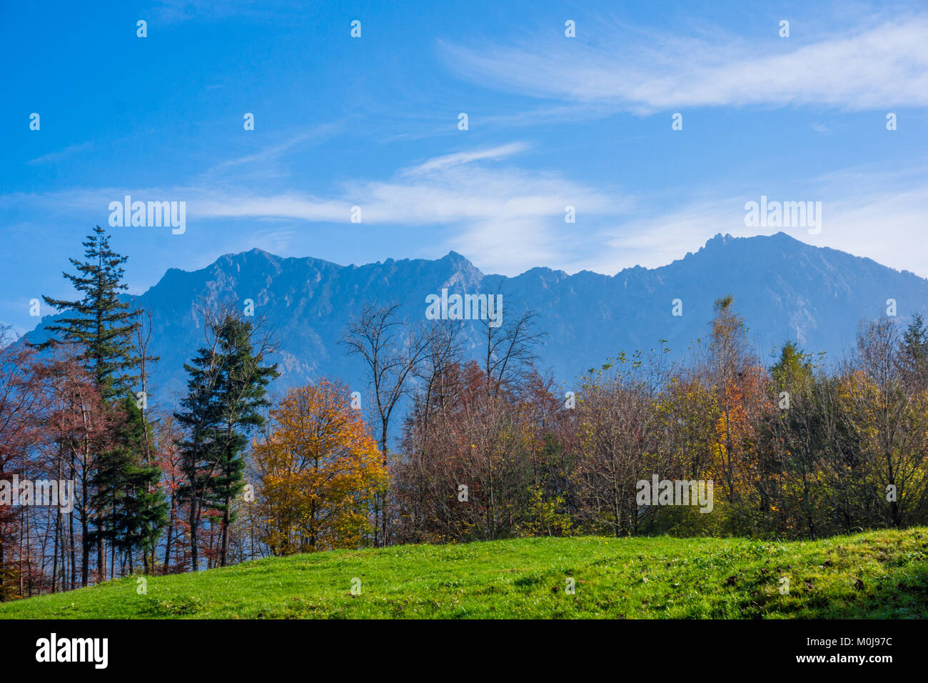 landscape in the Alps with fresh green meadows. Swiss Alps Stock Photo ...
