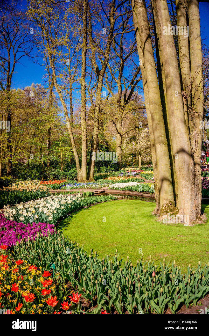 Beautiful park. Landscaped Formal Garden Stock Photo - Alamy