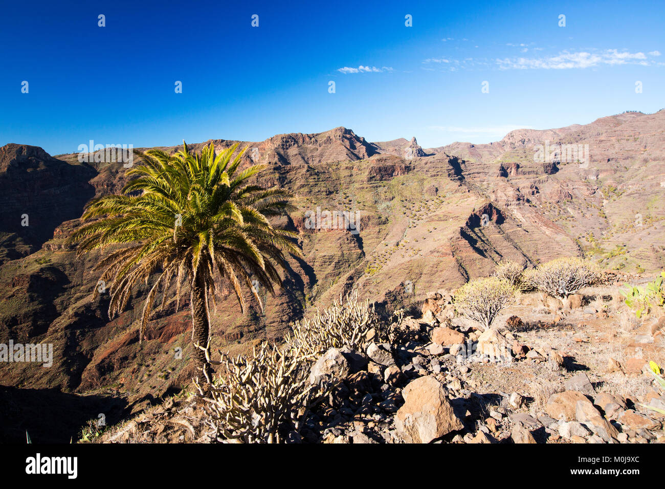 Benchijigua hi-res stock photography and images - Alamy