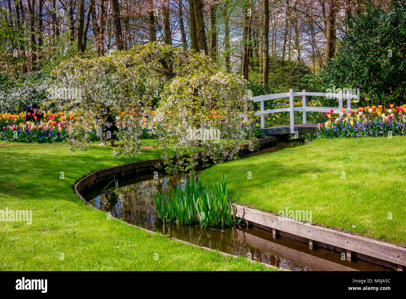 Beautiful garden. Park in The Spring. Spring landscape Stock Photo - Alamy