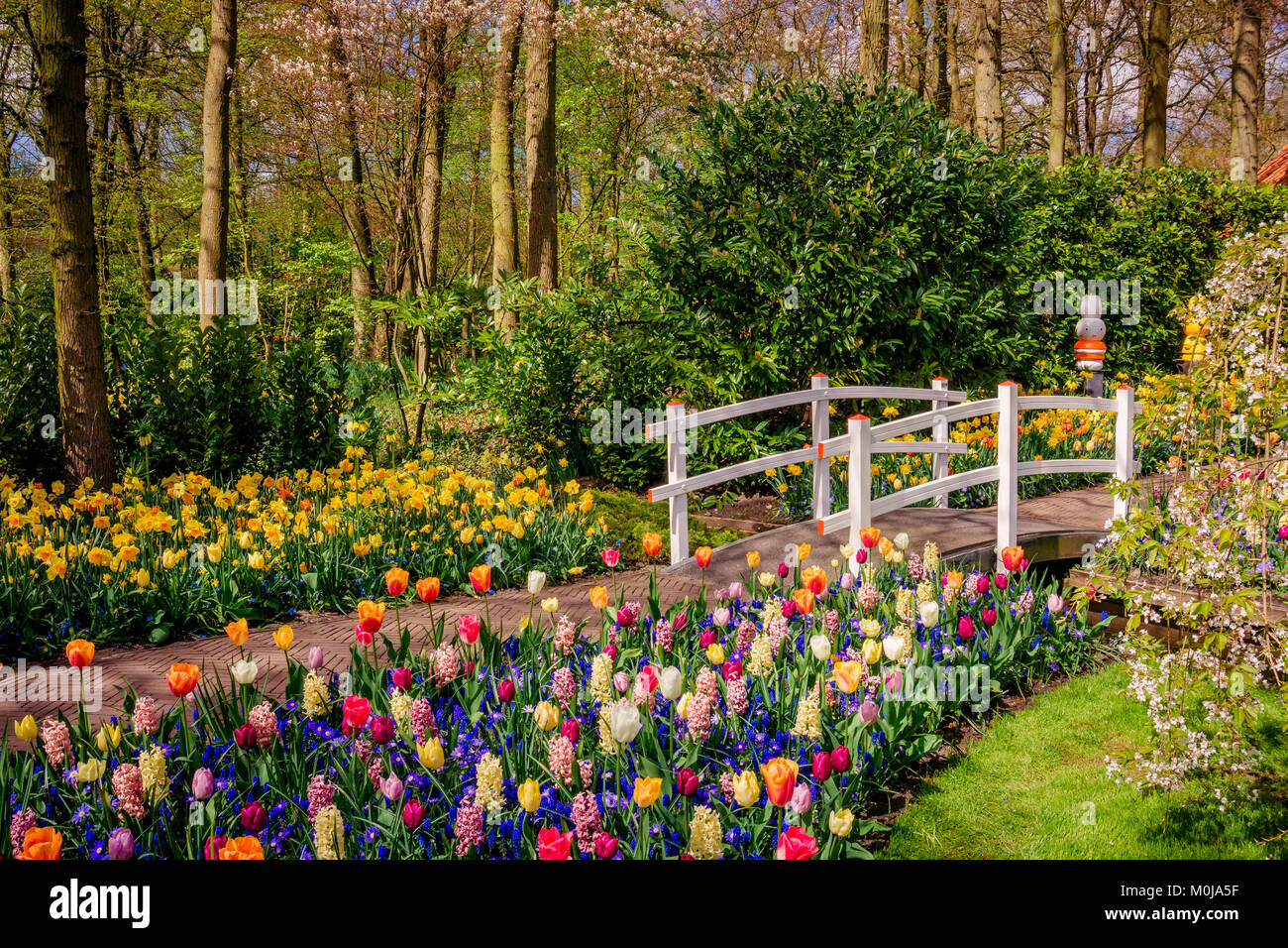 Beautiful garden. Park in The Spring. Spring landscape Stock Photo - Alamy