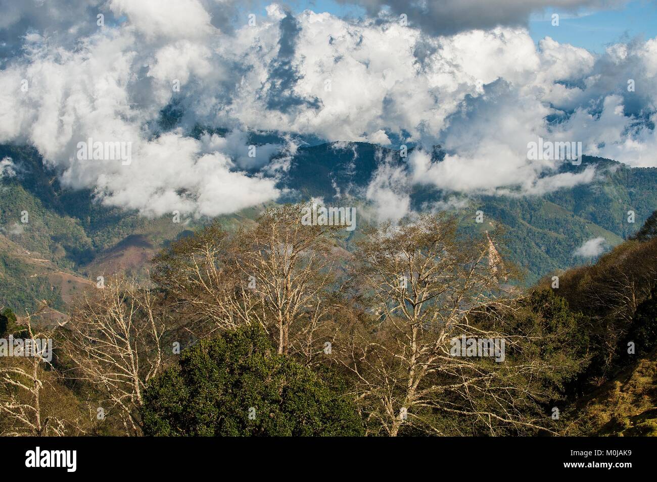 Sunlight through the clouds and fog to the forest in mountains. Costa ...