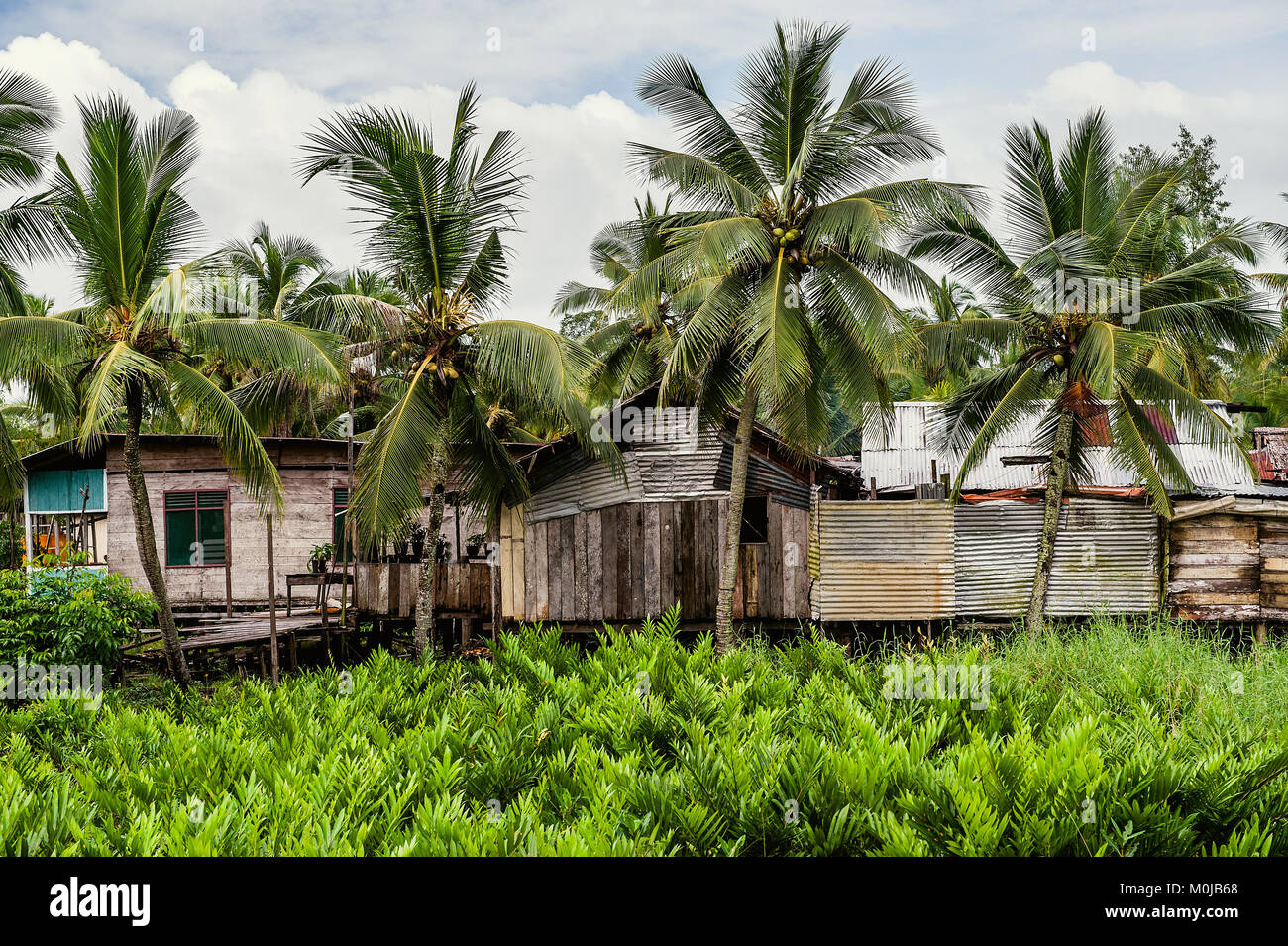 Poor huts of the natives, traditional indonesian poor house. New guinea ...