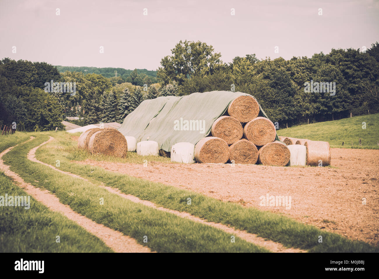 Hay ball hi-res stock photography and images - Alamy