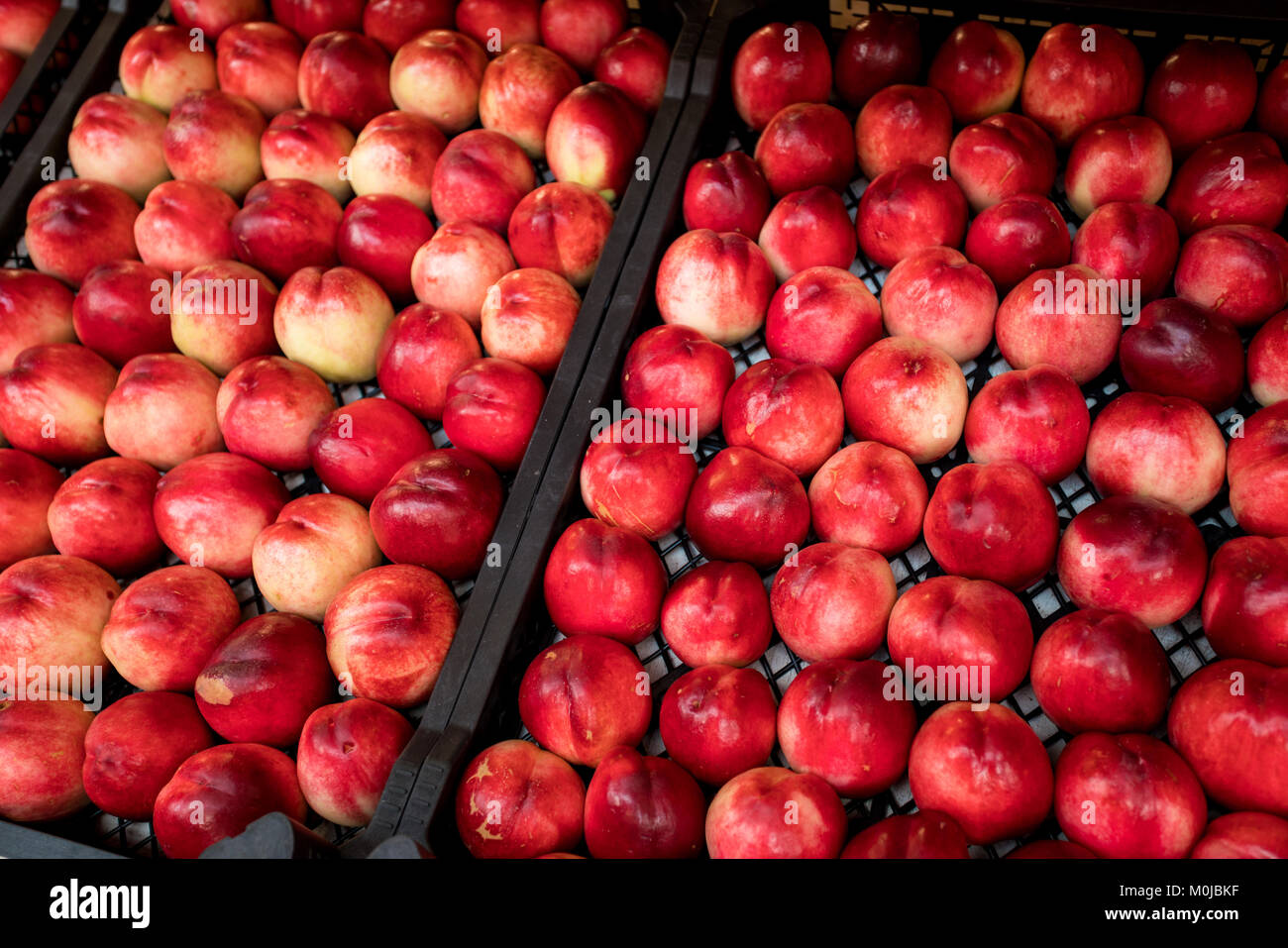 nectarines in the market Stock Photo - Alamy