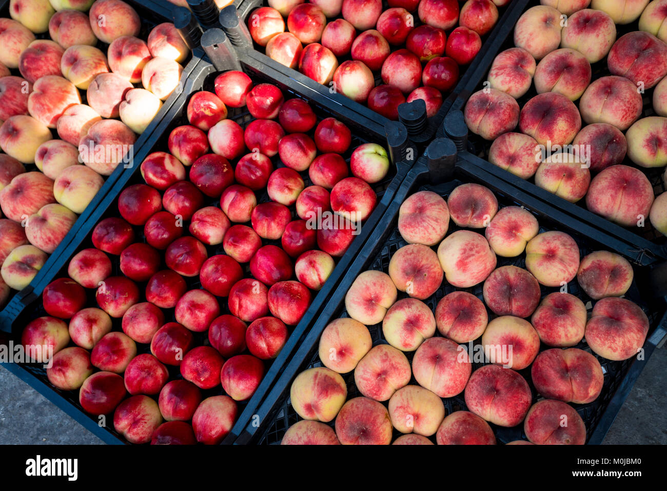 nectarines in the market Stock Photo - Alamy