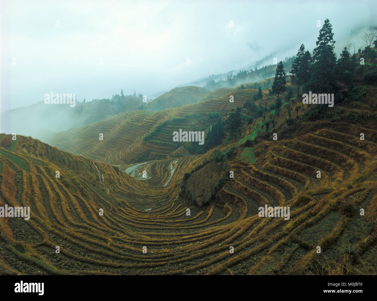 Paisaje rural china hi-res stock photography and images - Alamy