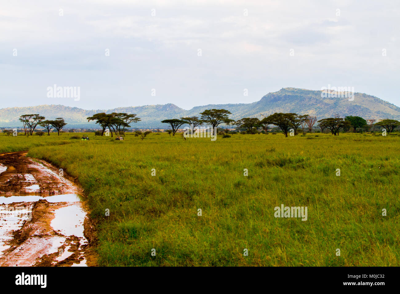 Serengeti National Park, Tanzanian national park in the Serengeti ...