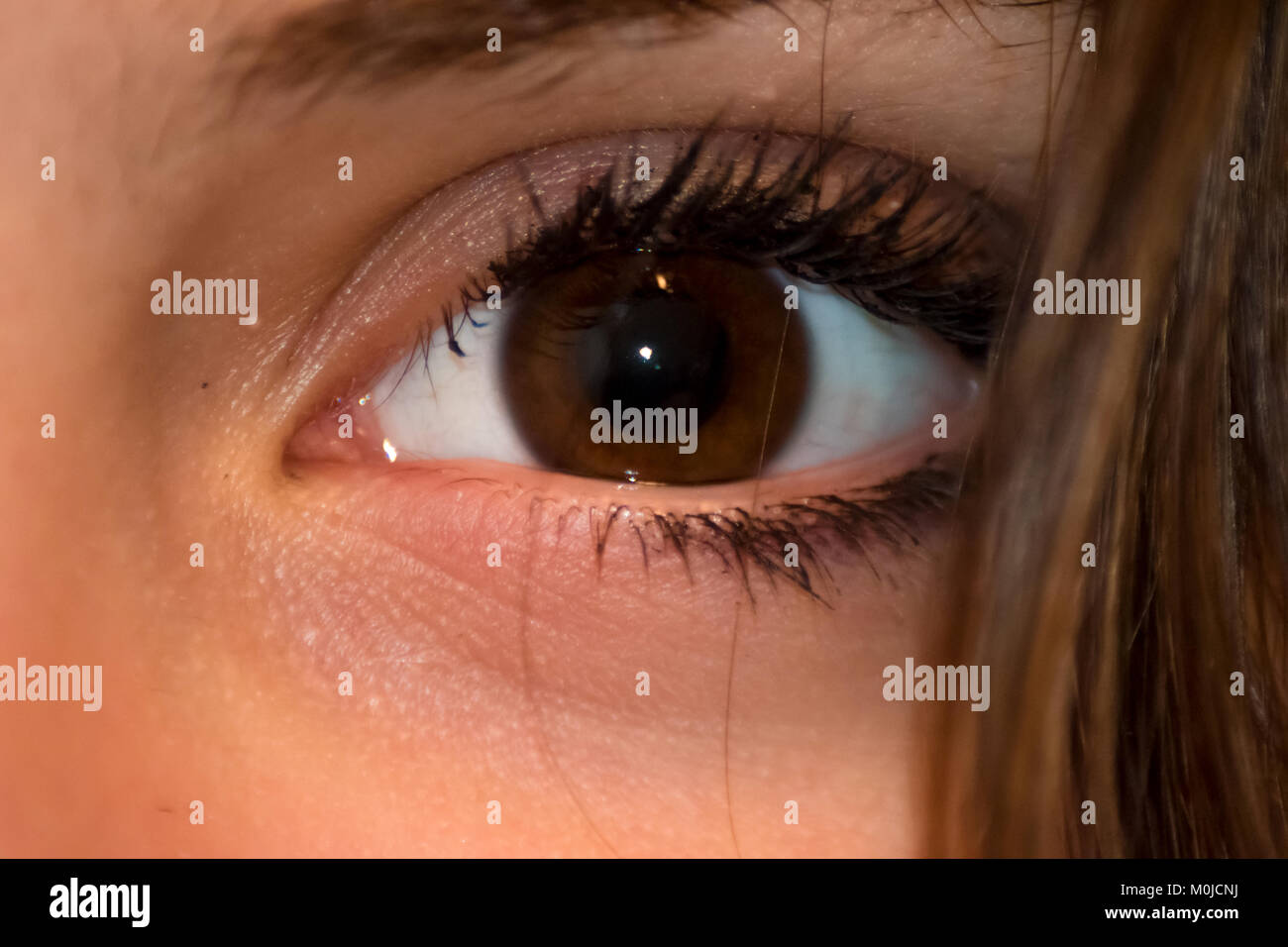 eyes of love Stock Photo - Alamy