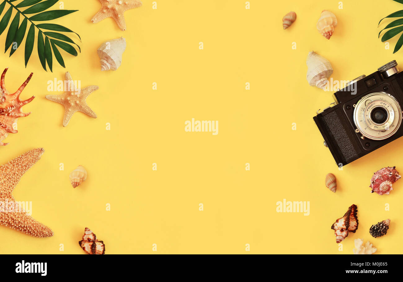 Tropical Background. Palm Trees Branches with camera and seashell on ...