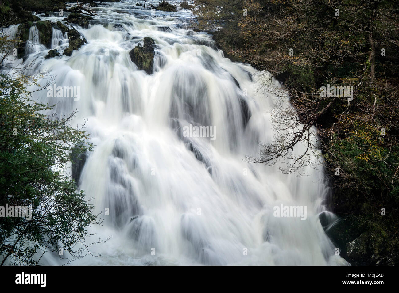 Swallow Falls is a name for the Rhaeadr Ewynnol, a multiple waterfall ...