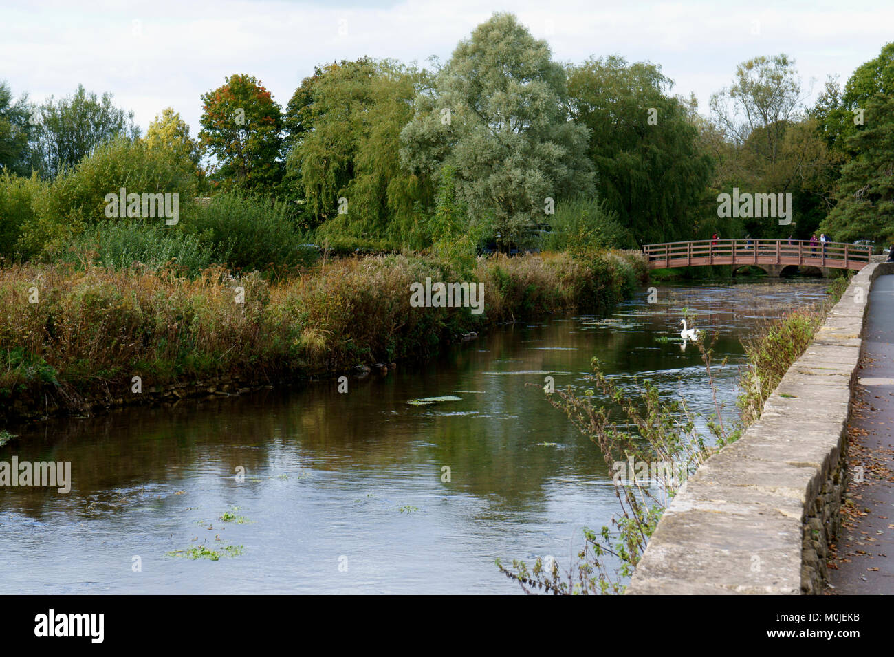 The River Coln running through Bibury next to the Rack Isle Meadow ...