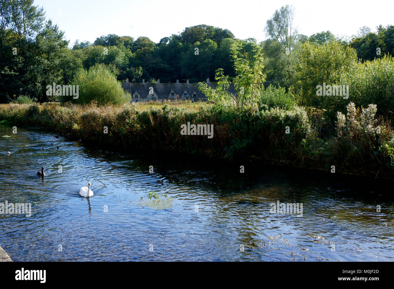 River Coln in Bibury with the Rack Isle and Arlington Row behind Stock ...