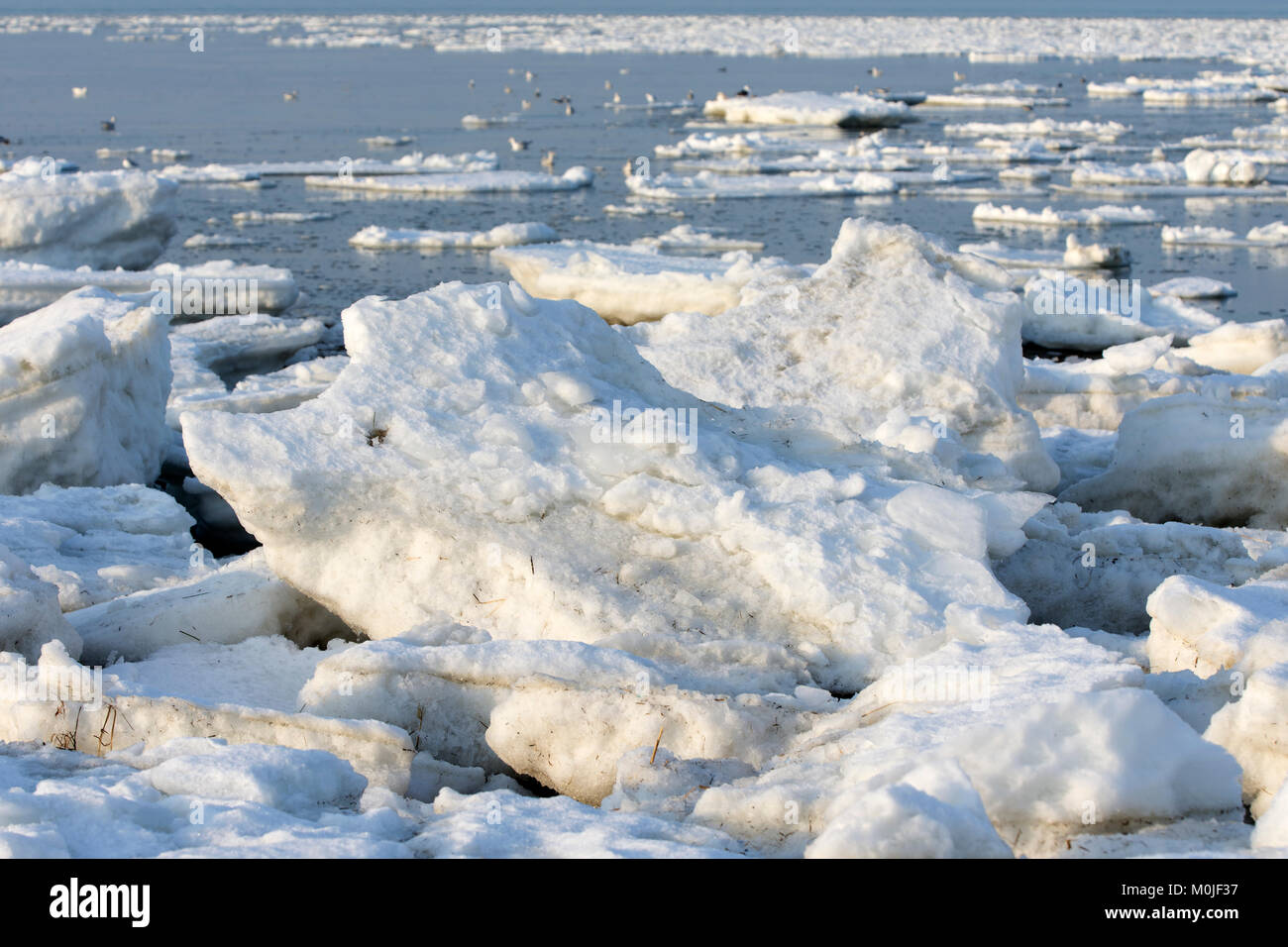 Shoreline ice hi-res stock photography and images - Alamy