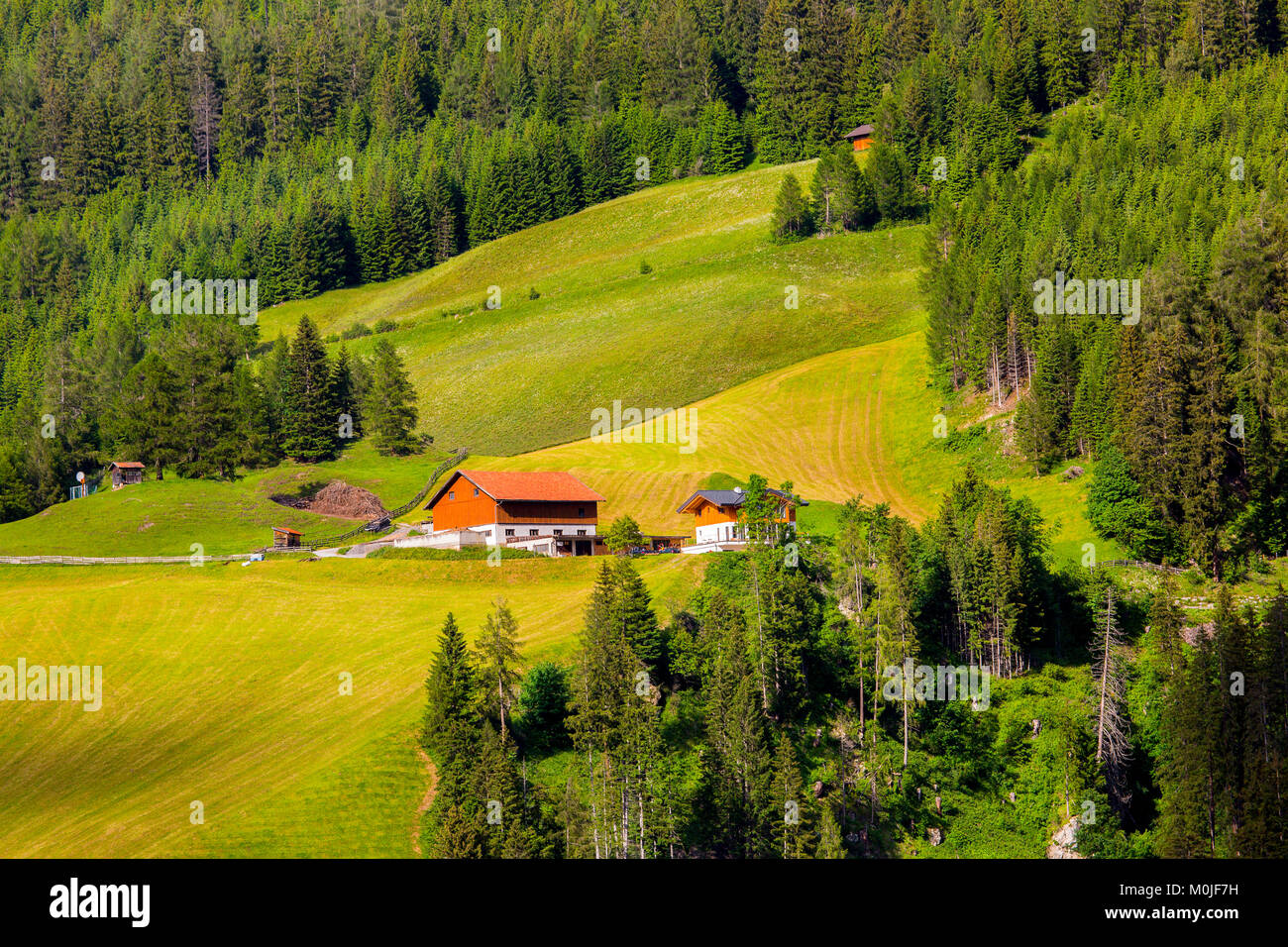 Rural Alpine landscape, Austria, Europe. Summer time Stock Photo - Alamy