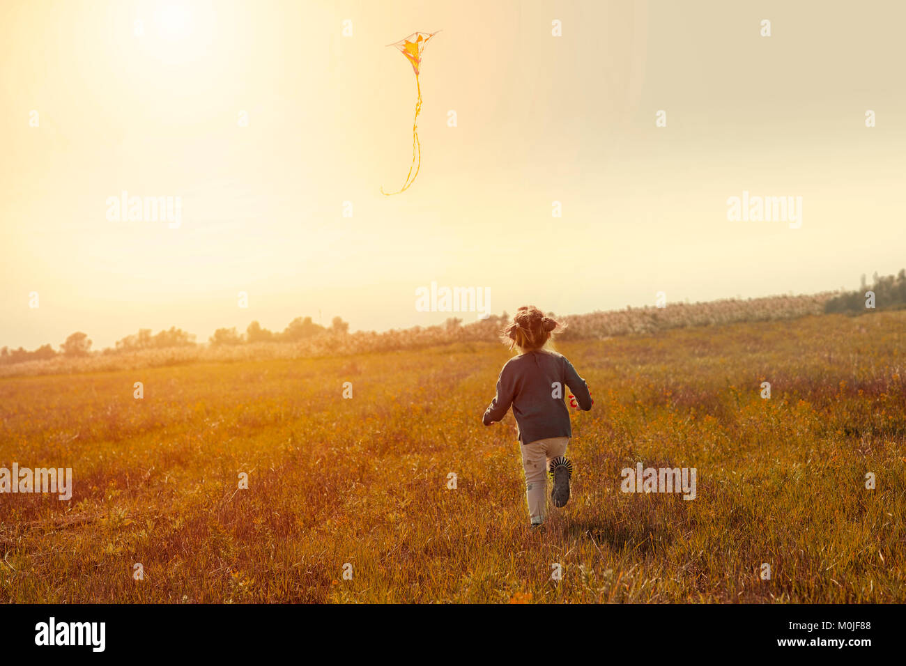 Little girl flying a kite in the field Intentional slope of the horizon ...