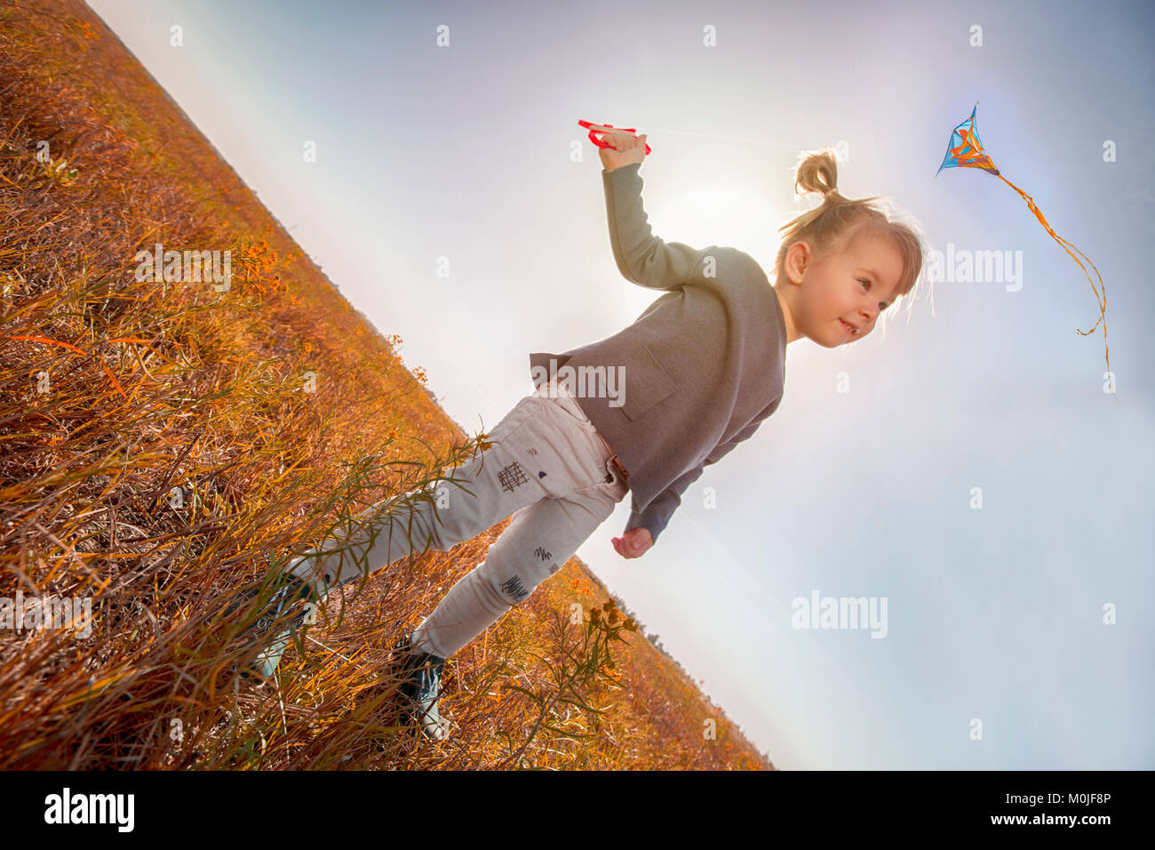 Little girl flying a kite in the field Intentional slope of the horizon ...