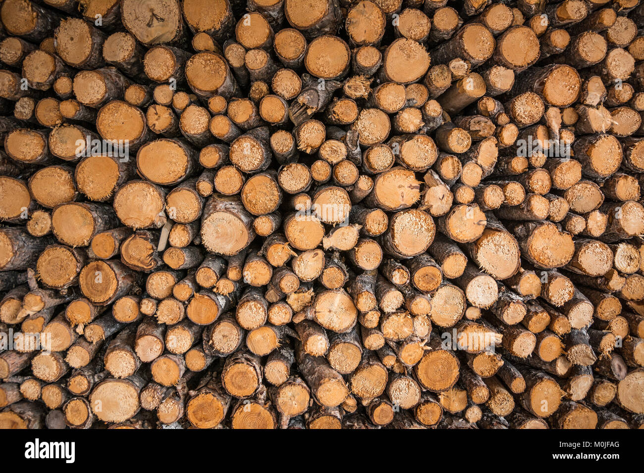 Getting energy by burning wood has been classed as a renewable energy ...