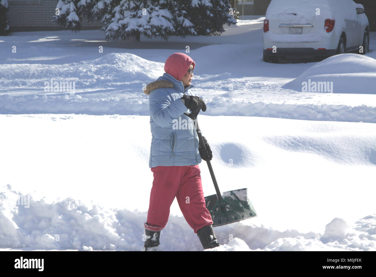 Lady in the deep snow, with shovel, ready to shovel snow from the ...