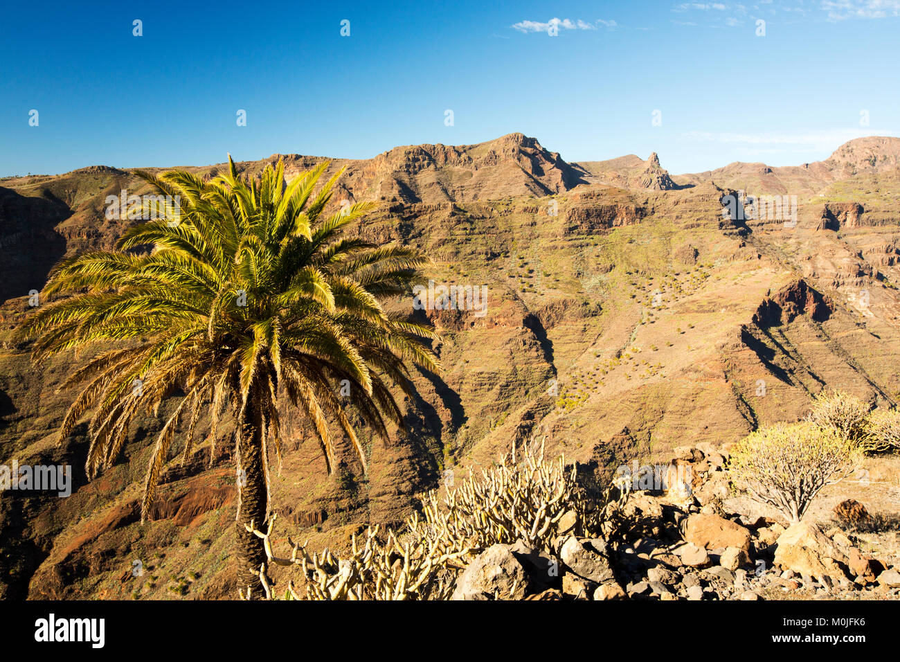 Benchijigua Stock Photos & Benchijigua Stock Images - Alamy