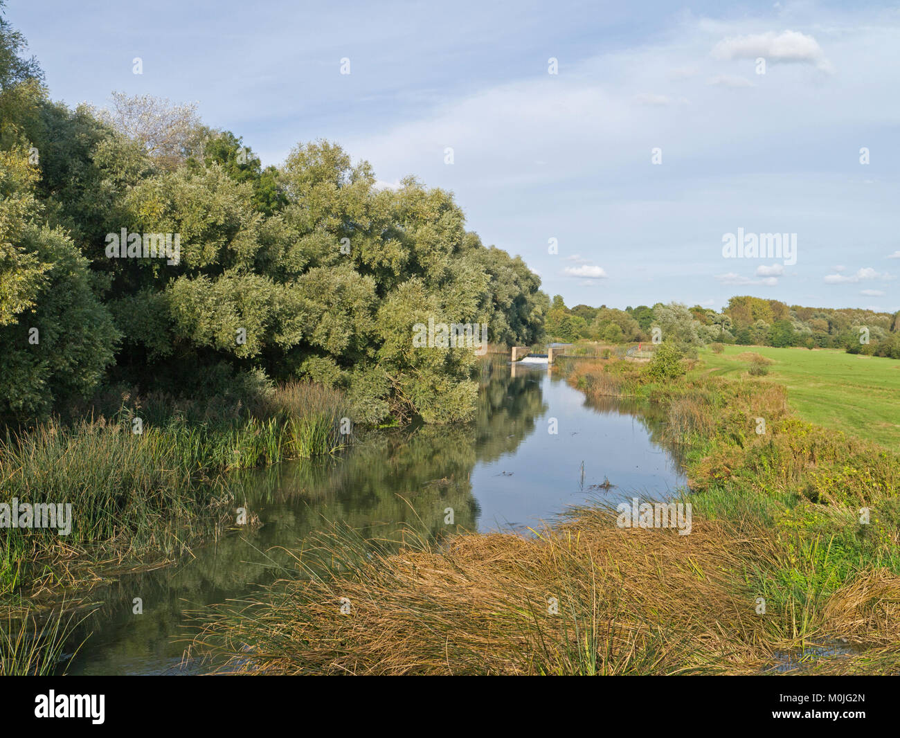 Bromham village hi-res stock photography and images - Alamy
