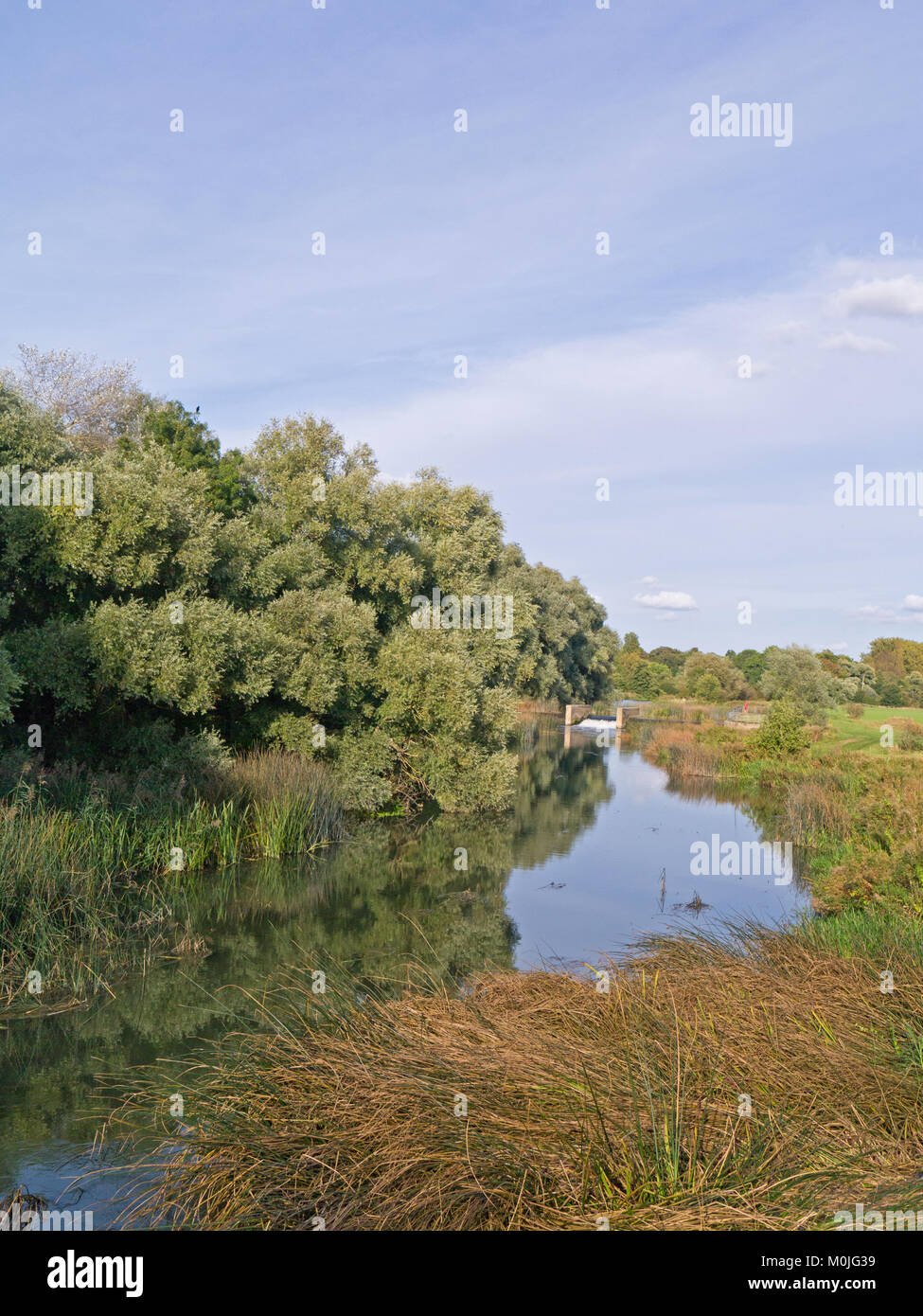 The River Great Ouse, running through water meadows, on the outskirts ...