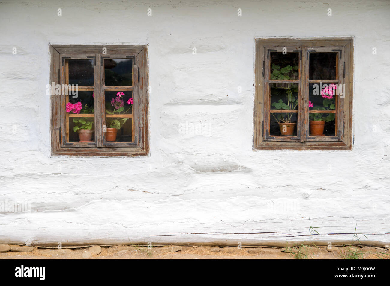 Old windows with flowers in historic building Stock Photo - Alamy