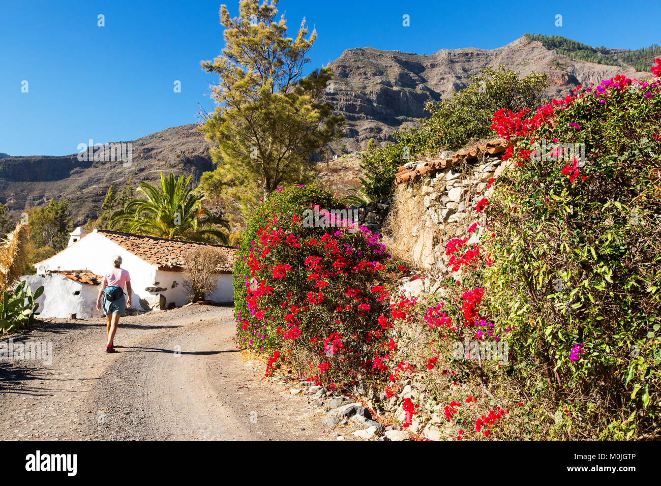 La Gomera landscape in Benchijigua, Canary Islands, with a woman ...