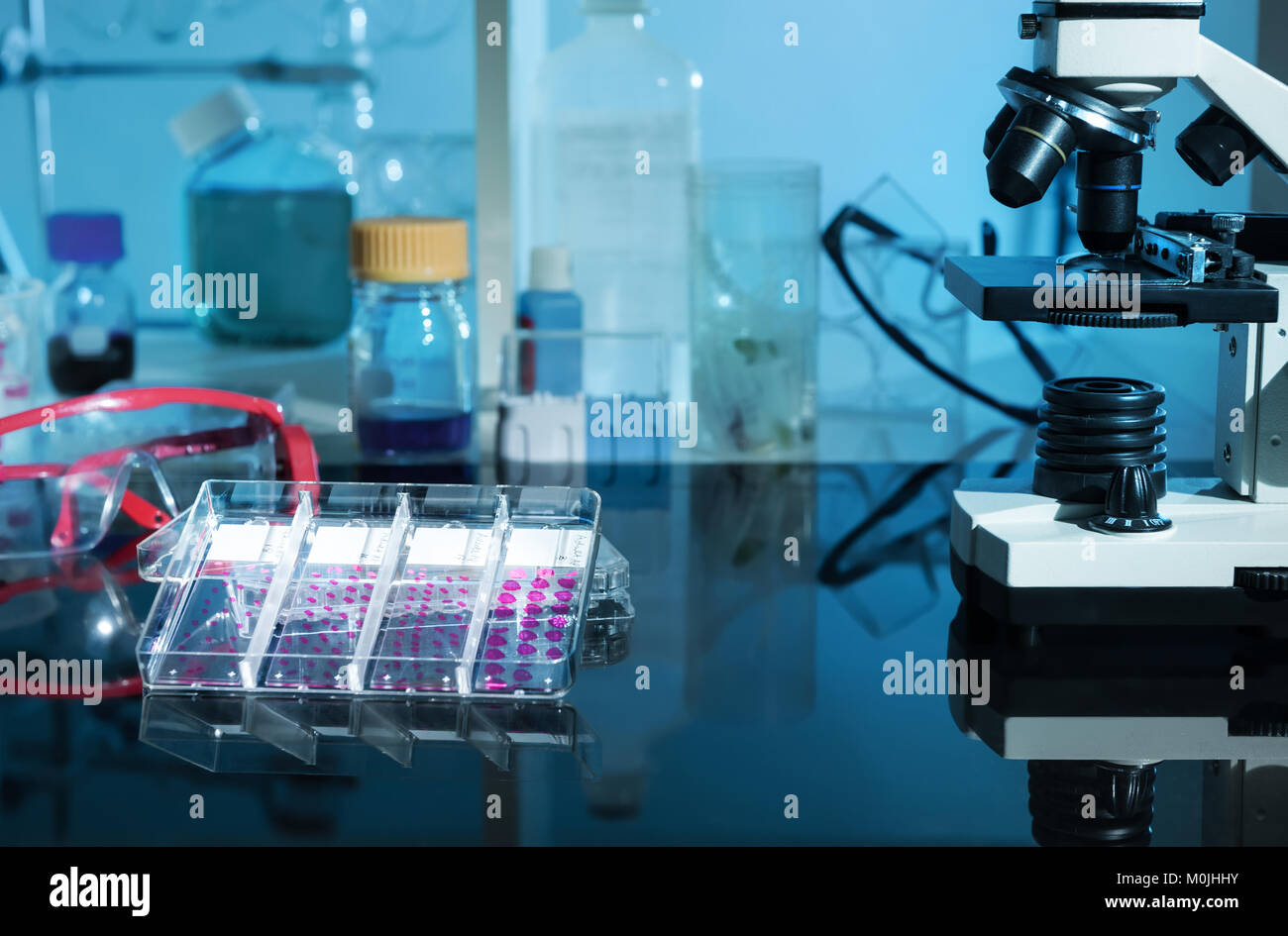 Tissue samples, stained and coverslipped for microscopic analysis Stock ...
