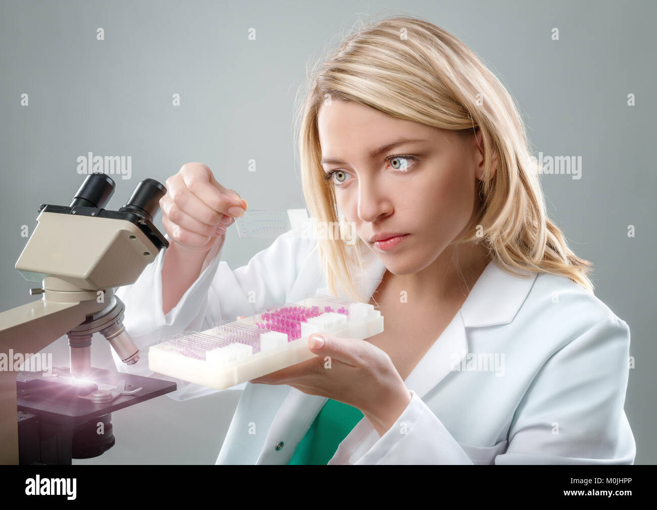 Histopathologist Stock Photos & Histopathologist Stock Images - Alamy