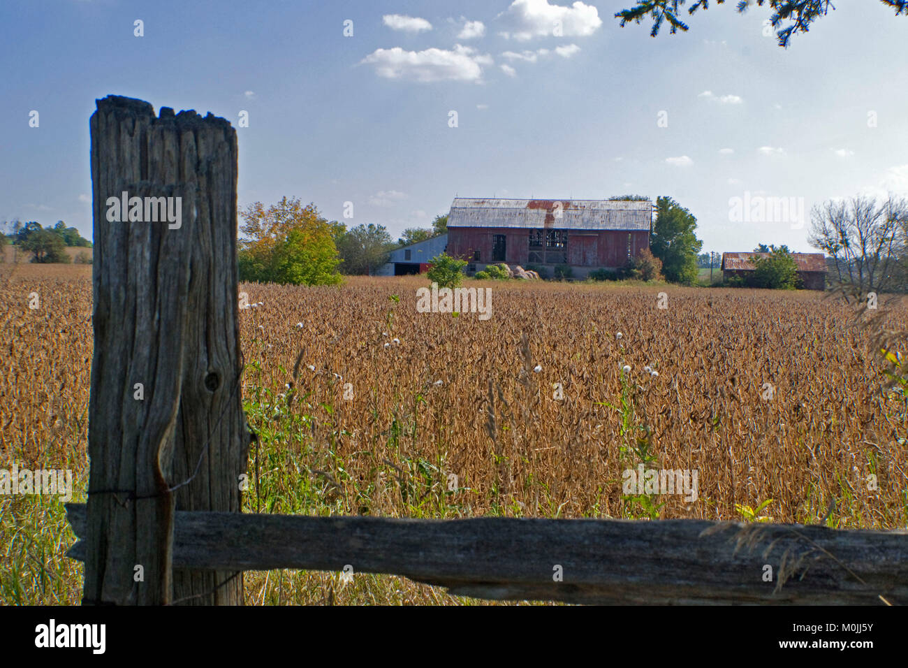 Barn on pasture hill Stock Photo - Alamy