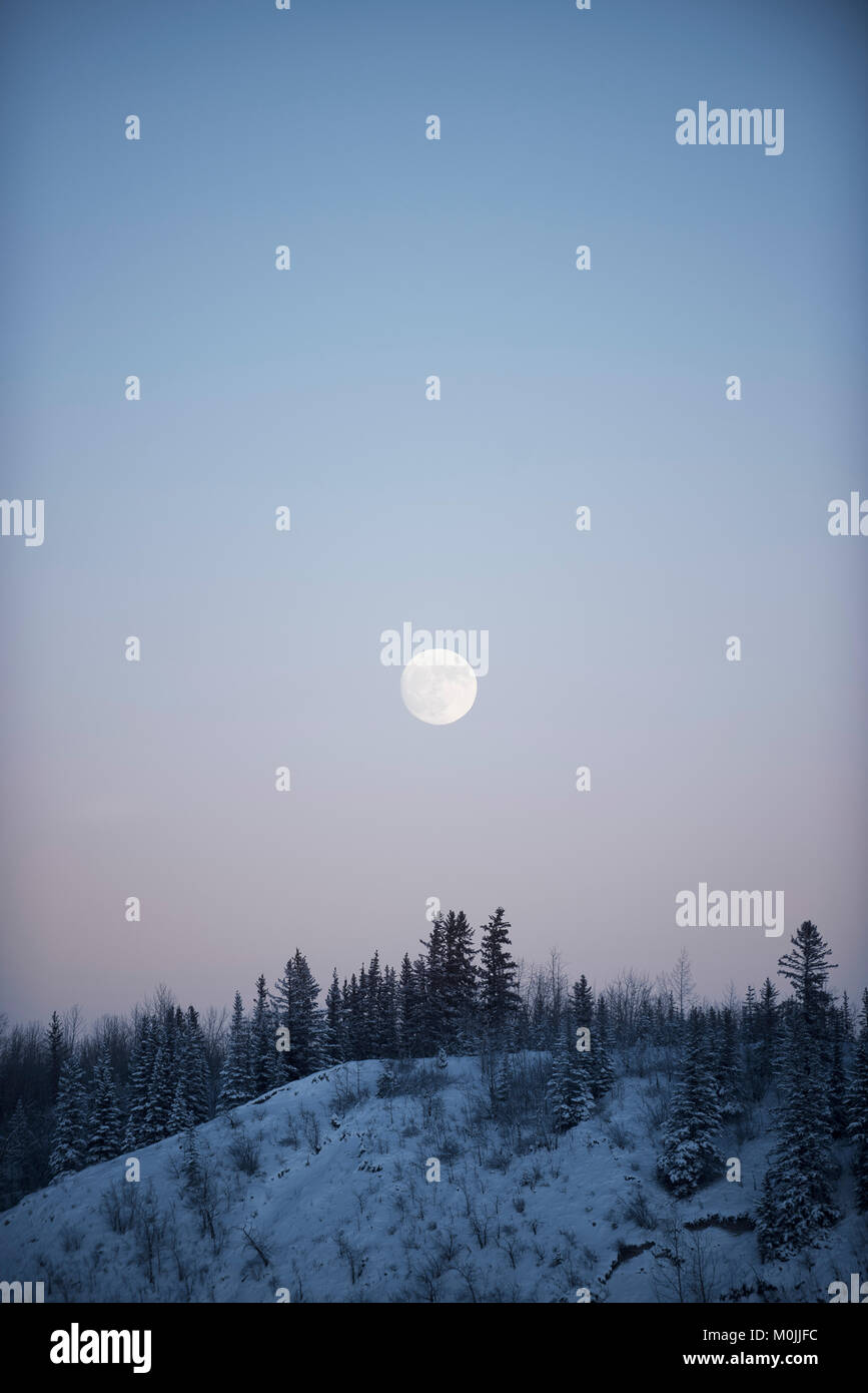 Treeline hi-res stock photography and images - Alamy