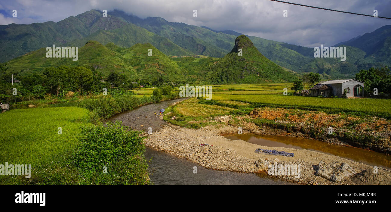 Terraced rice field with small stream in Northern Vietnam Stock Photo ...