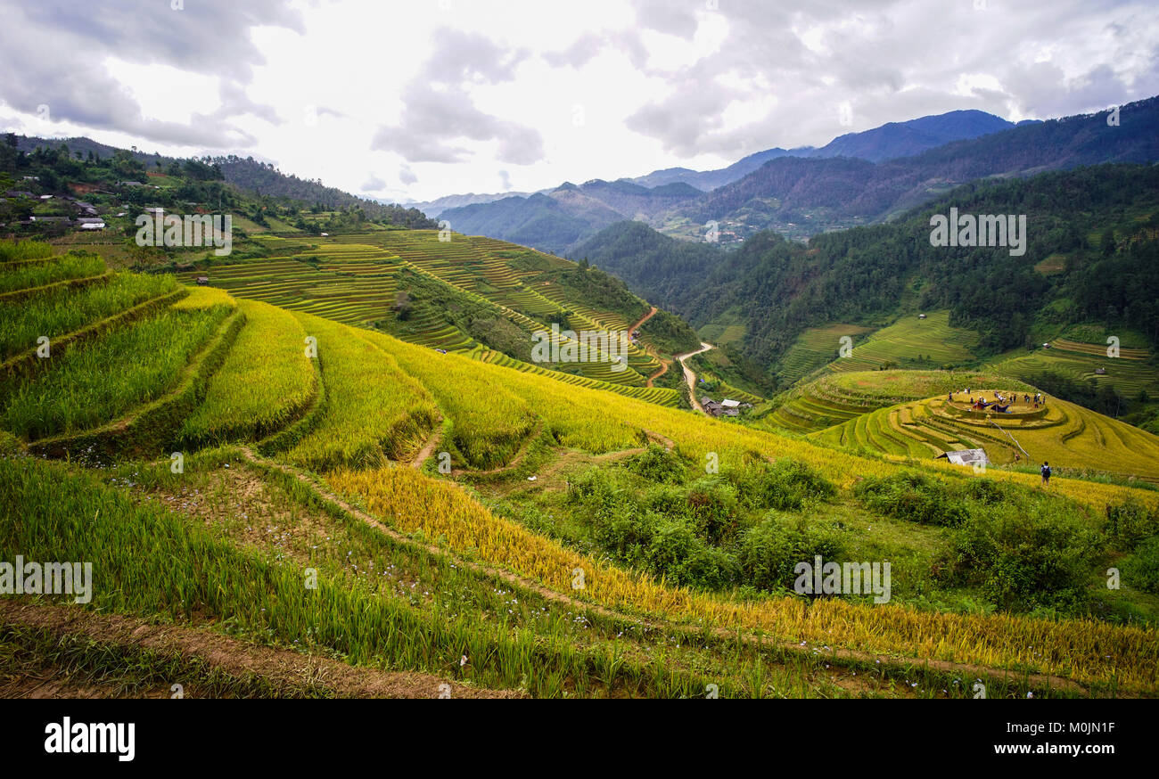 Mai Chau Field High Resolution Stock Photography and Images - Alamy