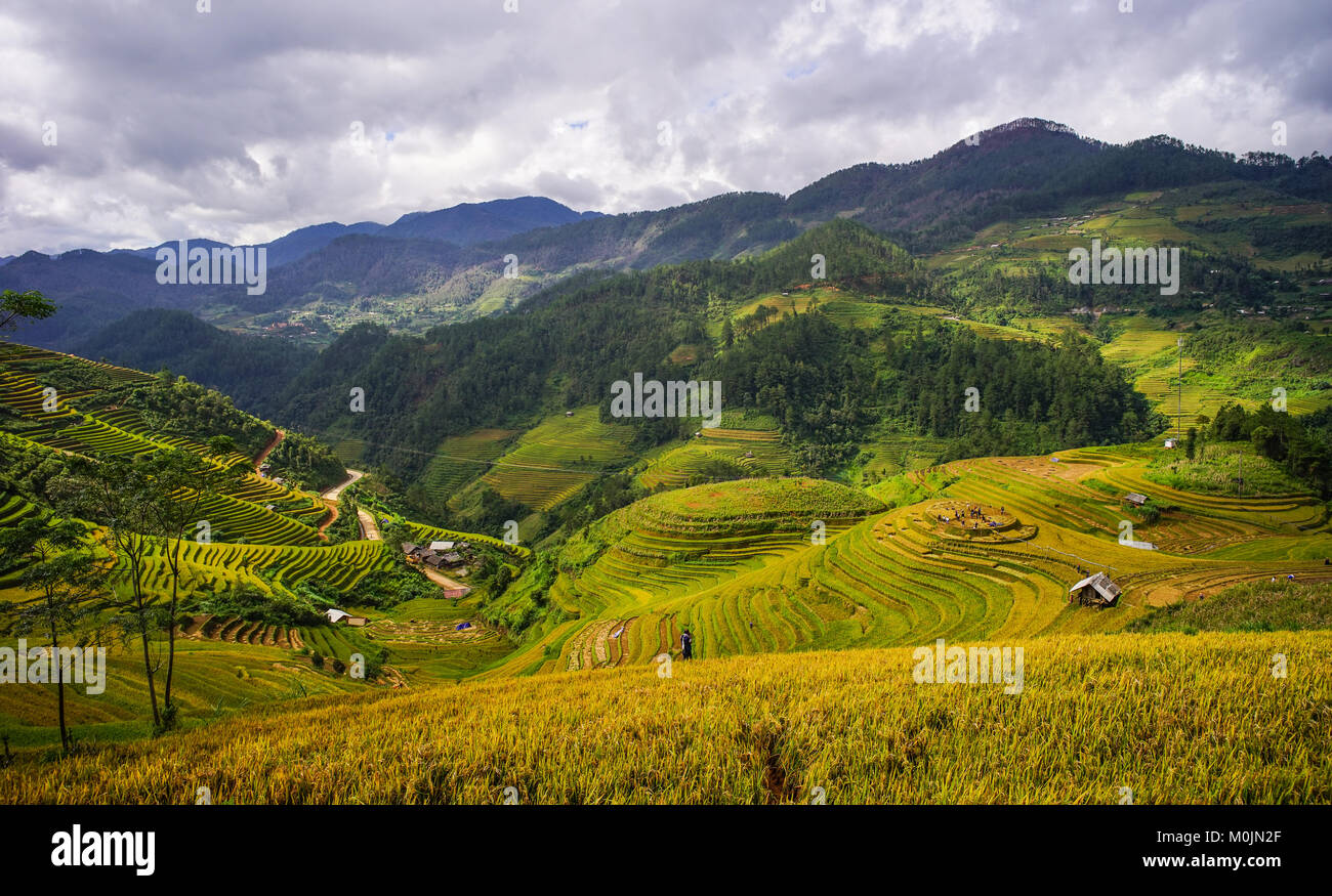 Mai Chau Field High Resolution Stock Photography and Images - Alamy