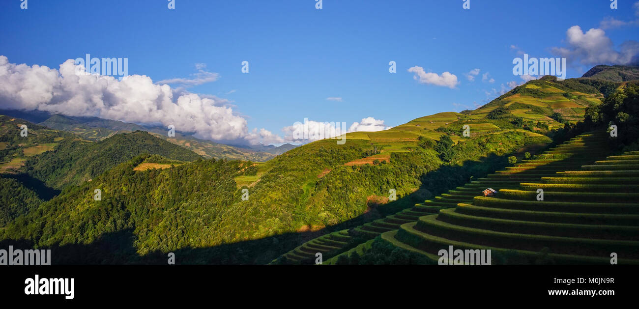 Terraced rice field in Northern Vietnam. Terraced paddy fields are ...
