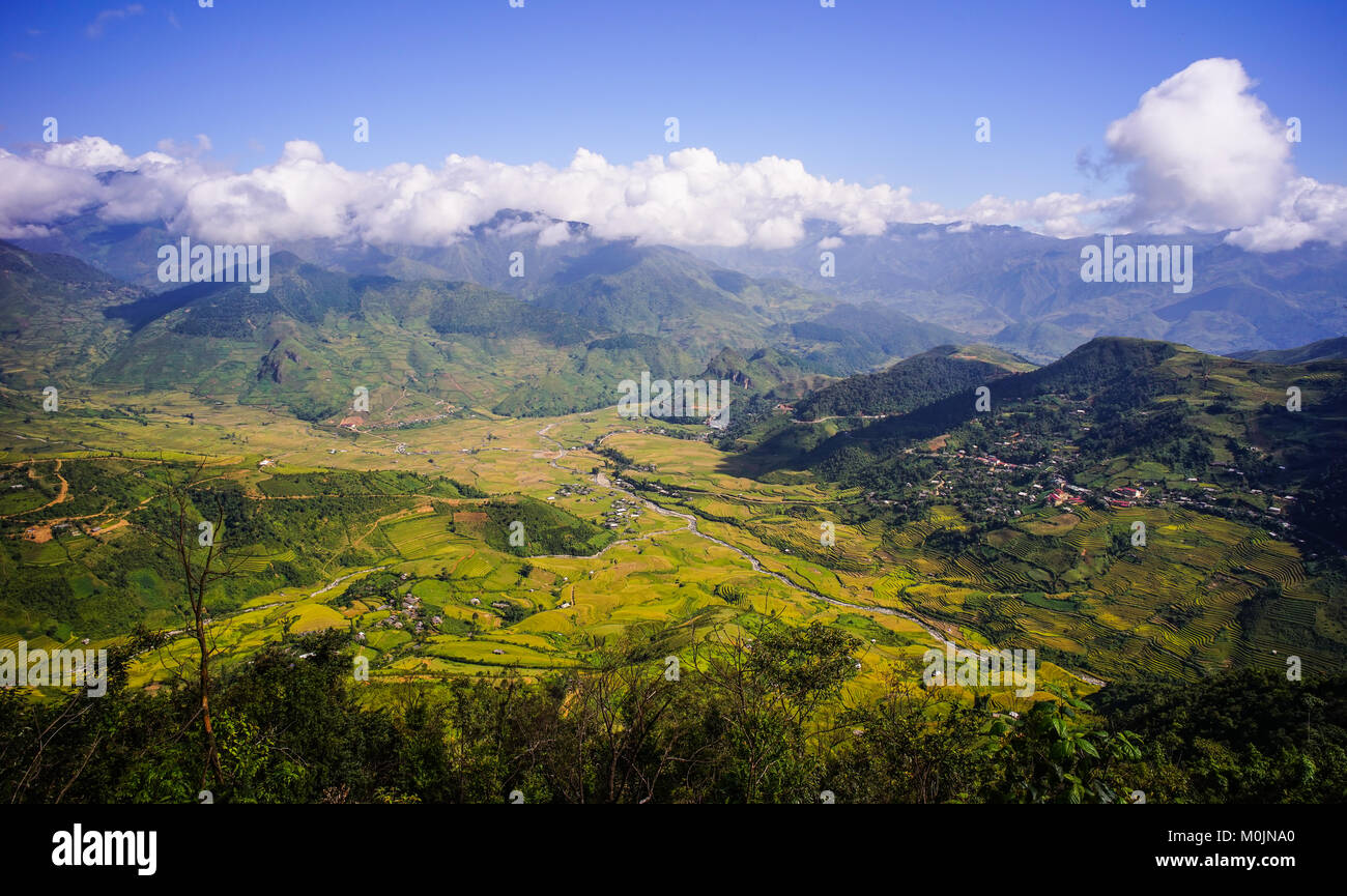 Terraced rice field in Sapa, Northern Vietnam. Terraced paddy fields ...