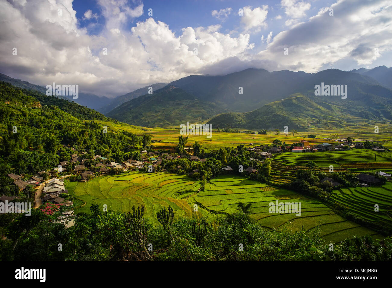 Hmong village with terraced rice field at summer day in Northern ...