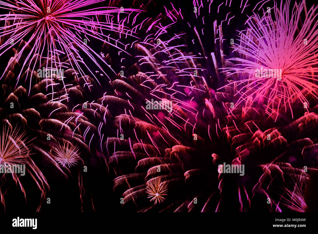 Bright vivid purple fireworks with sparks. Explosive pyrotechnic ...