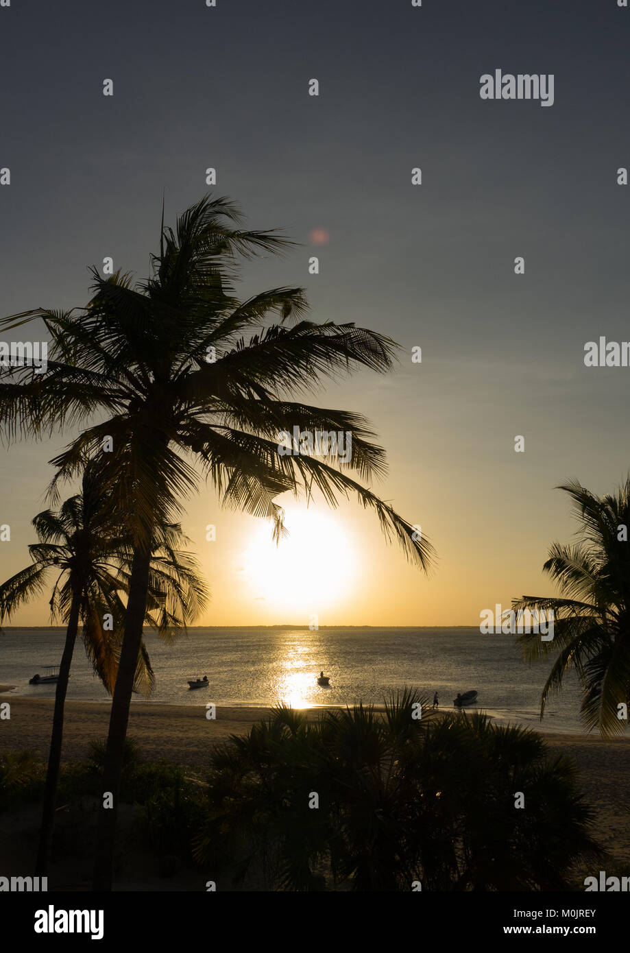 Lamu island beach hi-res stock photography and images - Alamy