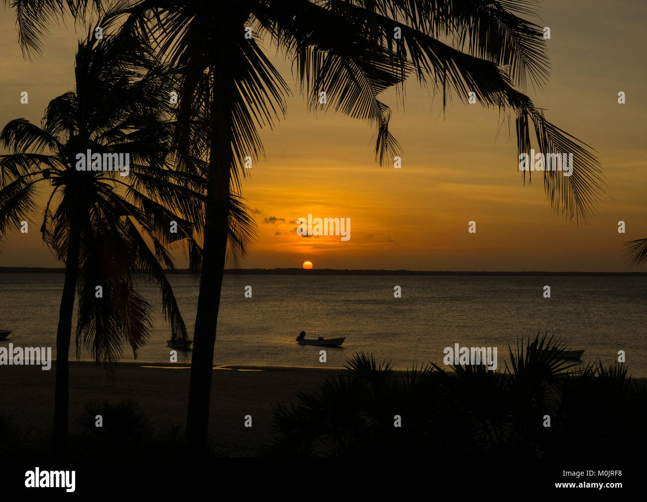 Lamu archipelago kenya beach hi-res stock photography and images - Alamy