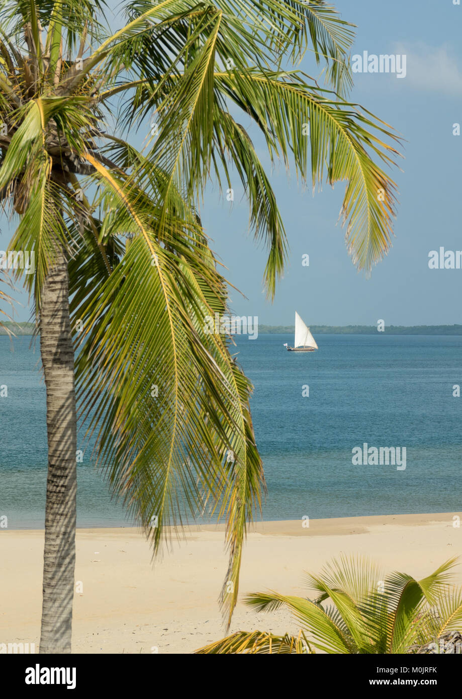 Traditional dhow sailing in the indian ocean hi-res stock photography ...